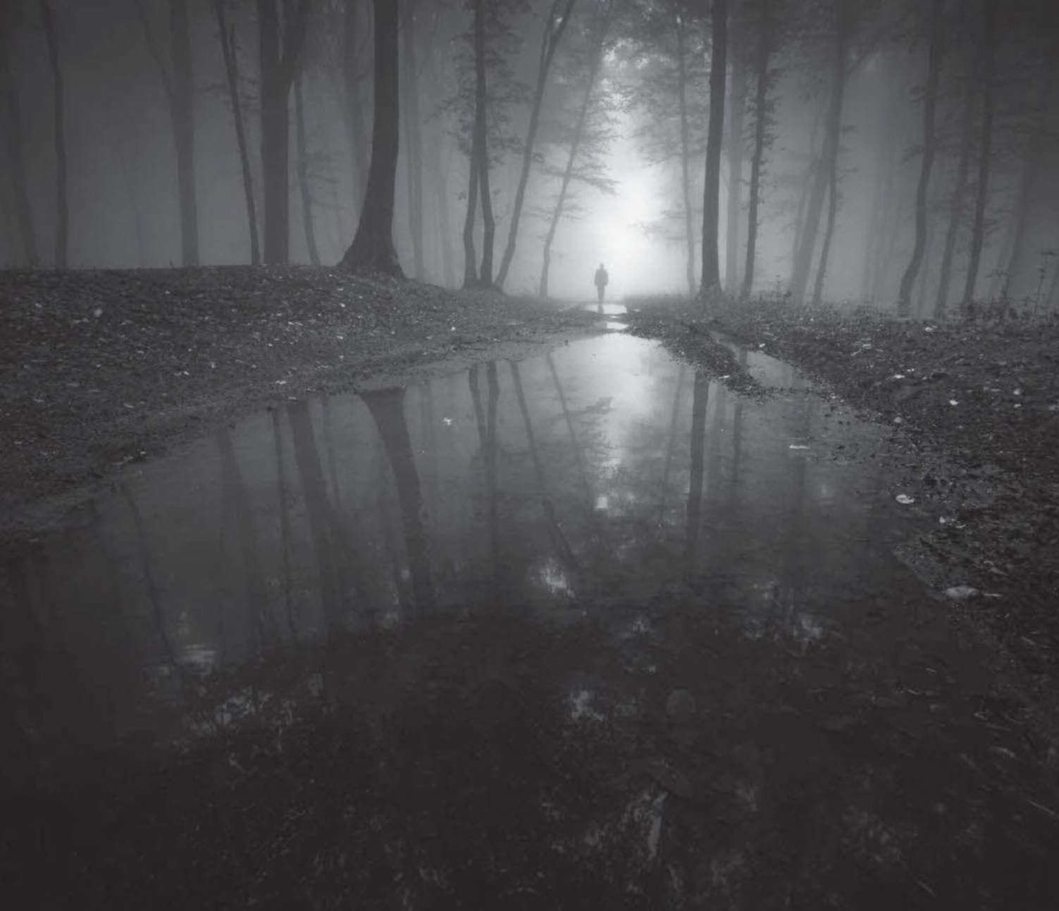 Dark Stormy Night