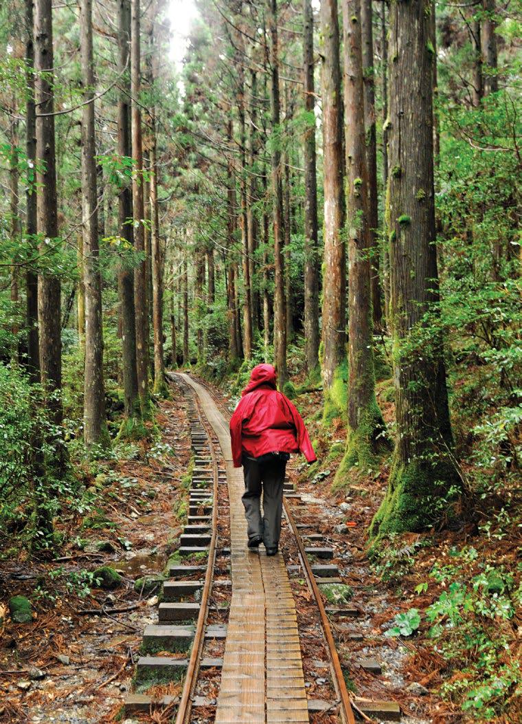 10 Unique Adventure Activities for Your Bucket List | Travel+Leisure ...