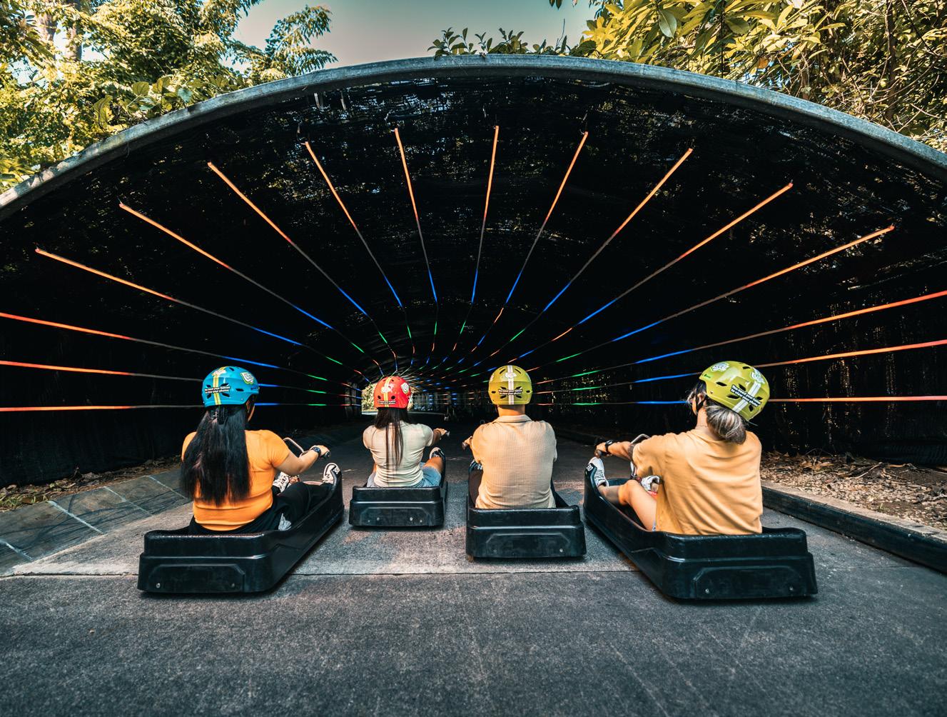 8 Fun Things to Do in Singapore | Expat Living Singapore - lifestyle ...
