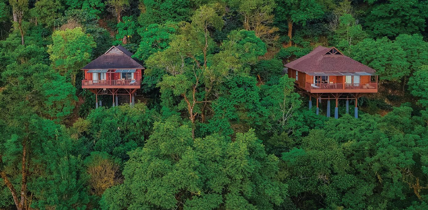 Eco-Stays in India Define Green, Immersive, Mindful, And Regenerative ...