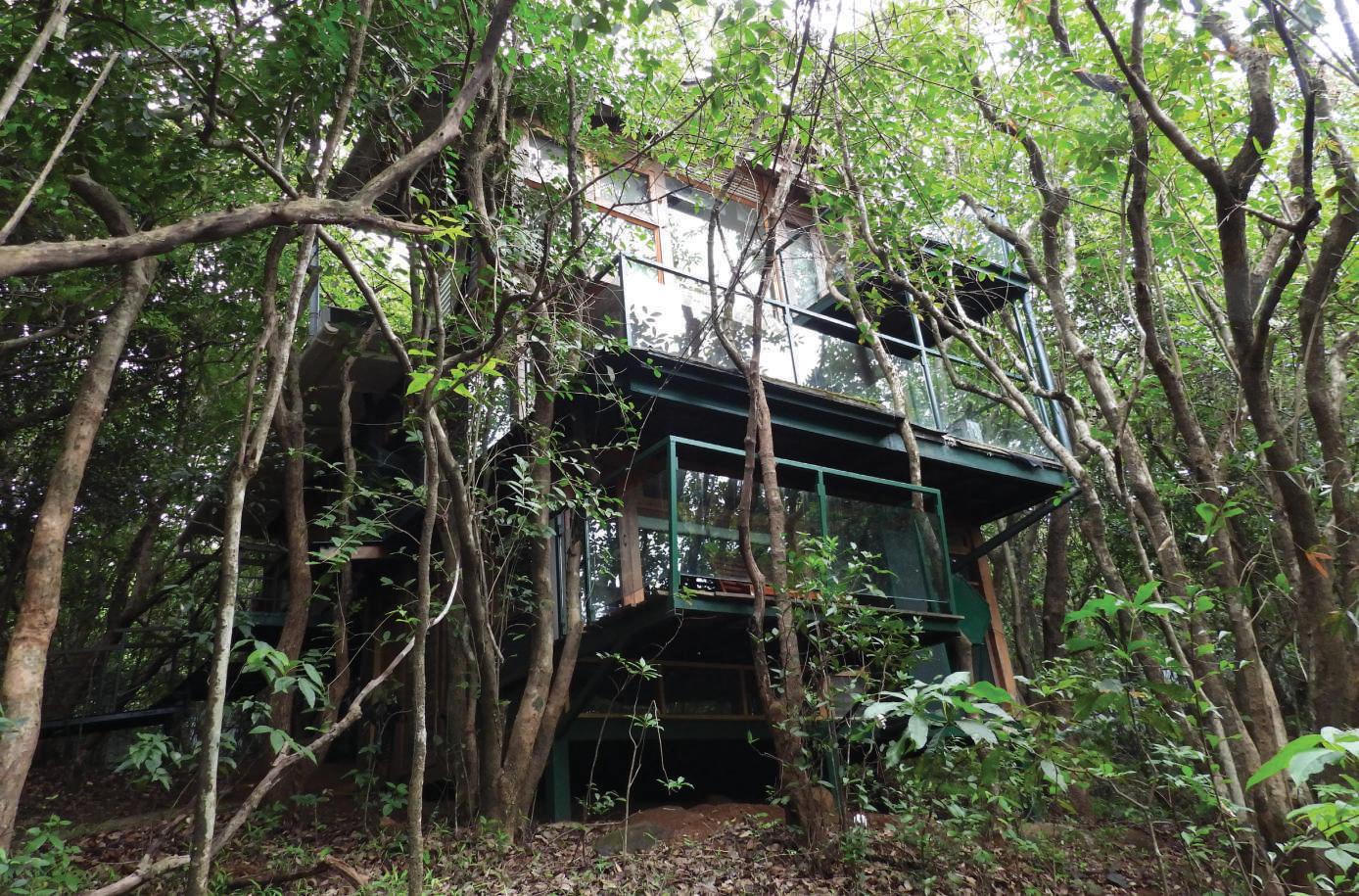The Machan Lonavala: A Soulful Stay Story, Etched in Green | Travel ...