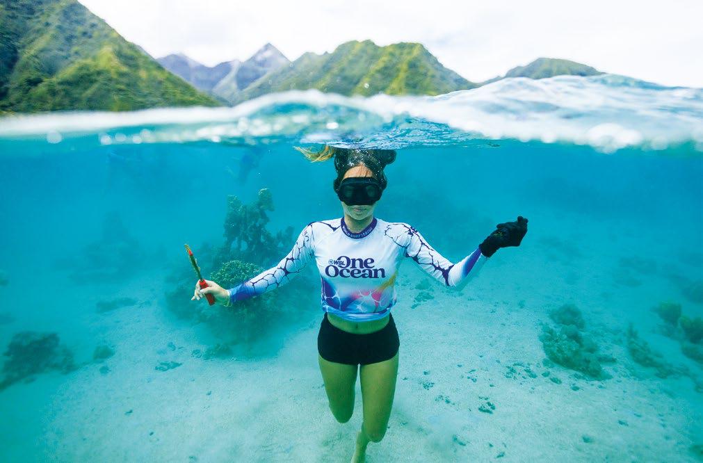 The world’s biggest marine protected area | YOU South Africa ...