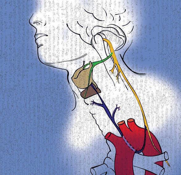 The tenth nerve | THE WEEK India - news - Read this story on Magzter.com