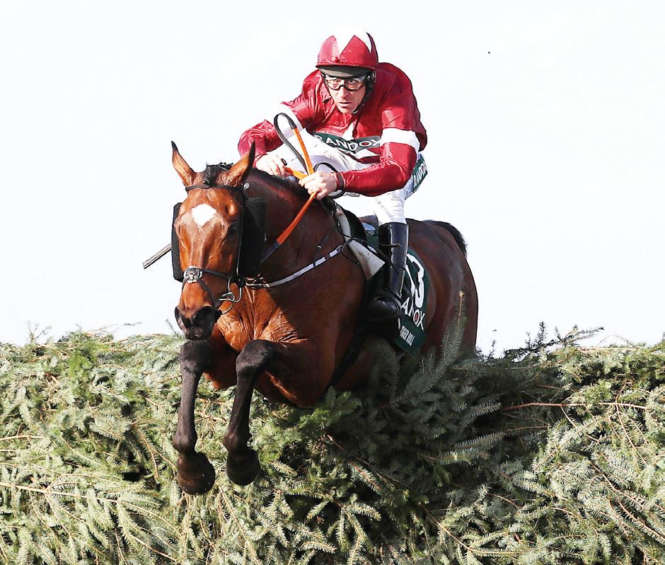 DAVY JUMPING FOR JOY.AND RESULTS | Racing Ahead - sports - Read this ...