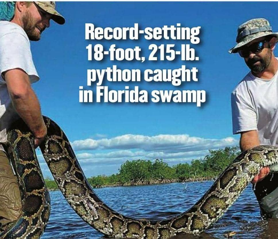 Mother Snake