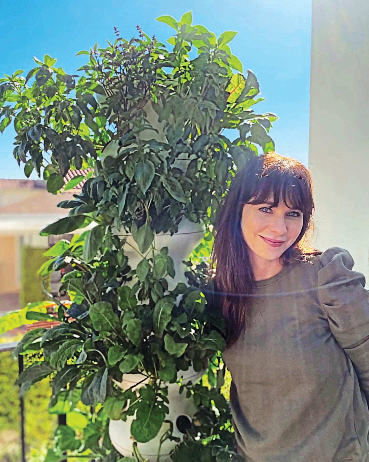 How does your GARDEN GROW? | Star - celebrity - Read this story on ...