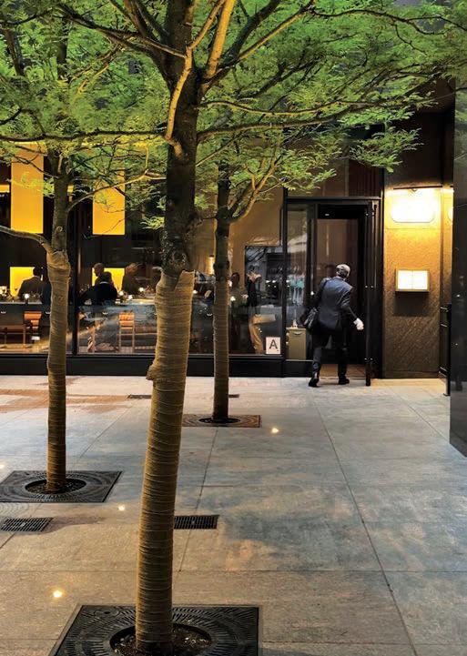 Our Patron Saint of Primi | New York magazine - lifestyle - Read this ...