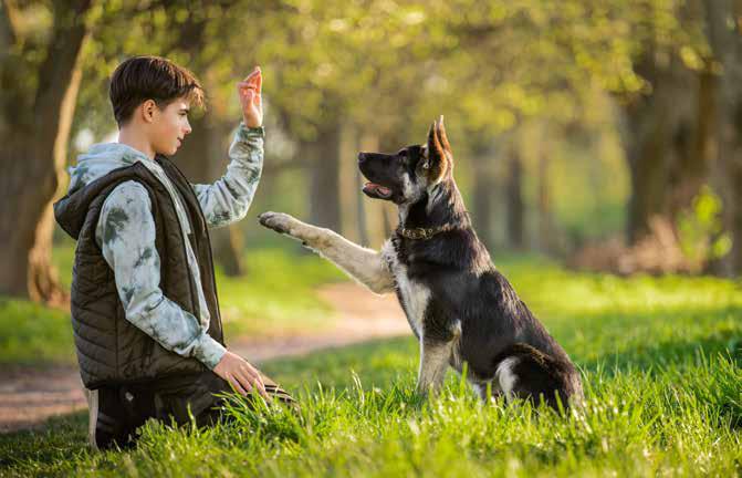 HOW PETS CAN TEACH KIDS LIFE SKILLS | Mother, Baby & Child - parenting ...