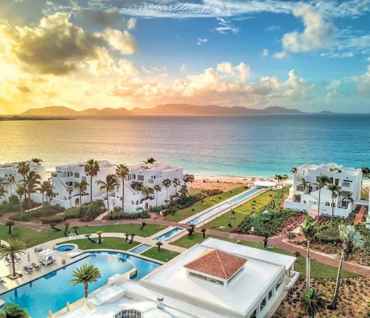 PARADISE FOUND