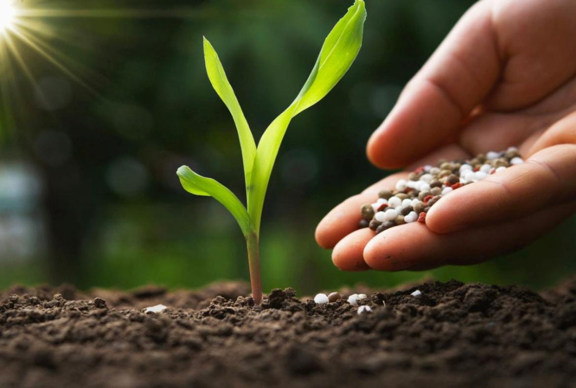 From Waste to Harvest: The Power of Human Urine as an Eco-Friendly ...