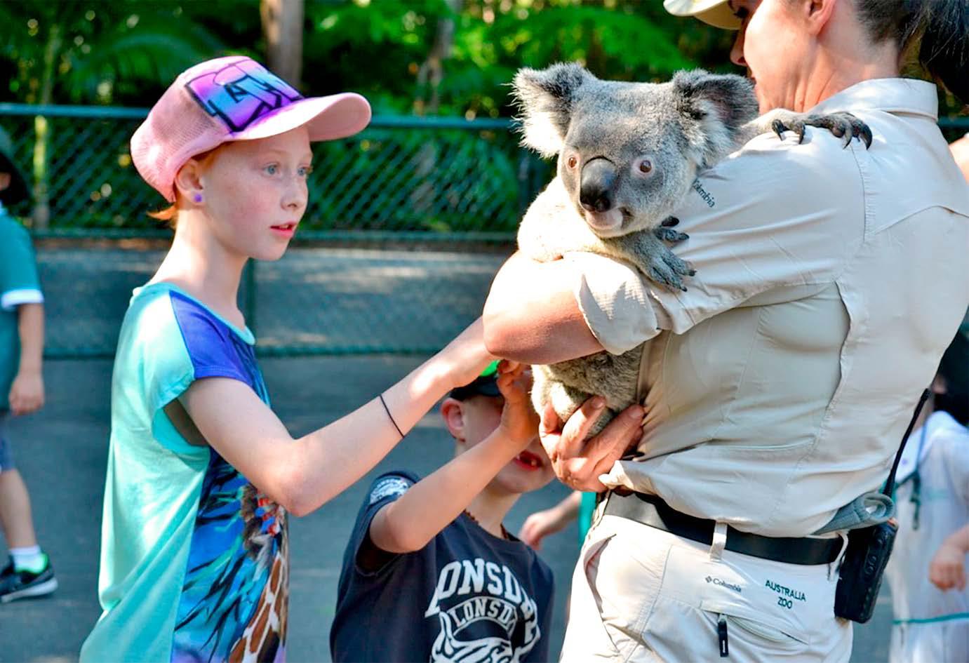 SAVING THE KOALAS 'ANYONE CAN MAKE A DIFFERENCE!' | New Idea ...
