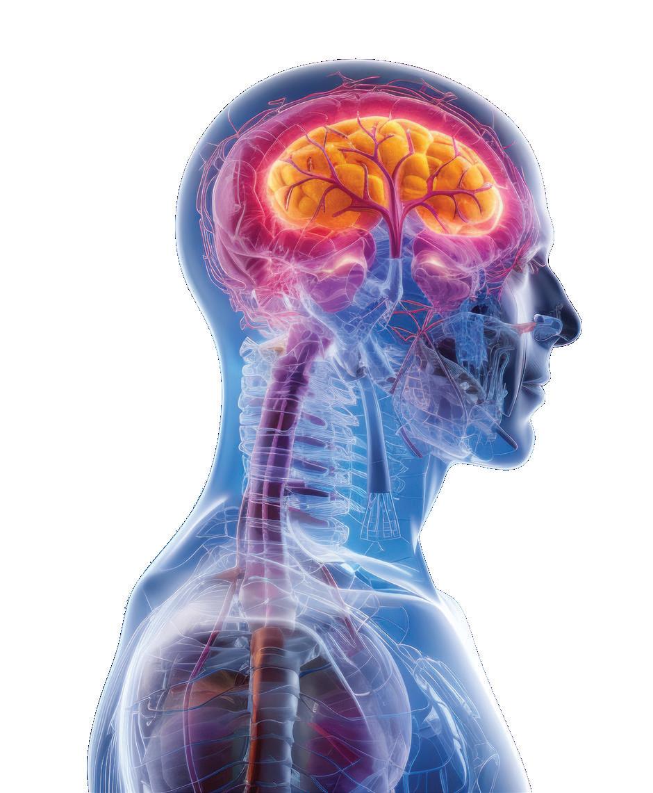 Is Your Fish Oil Reaching Your Brain? | PRIME Singapore - lifestyle ...