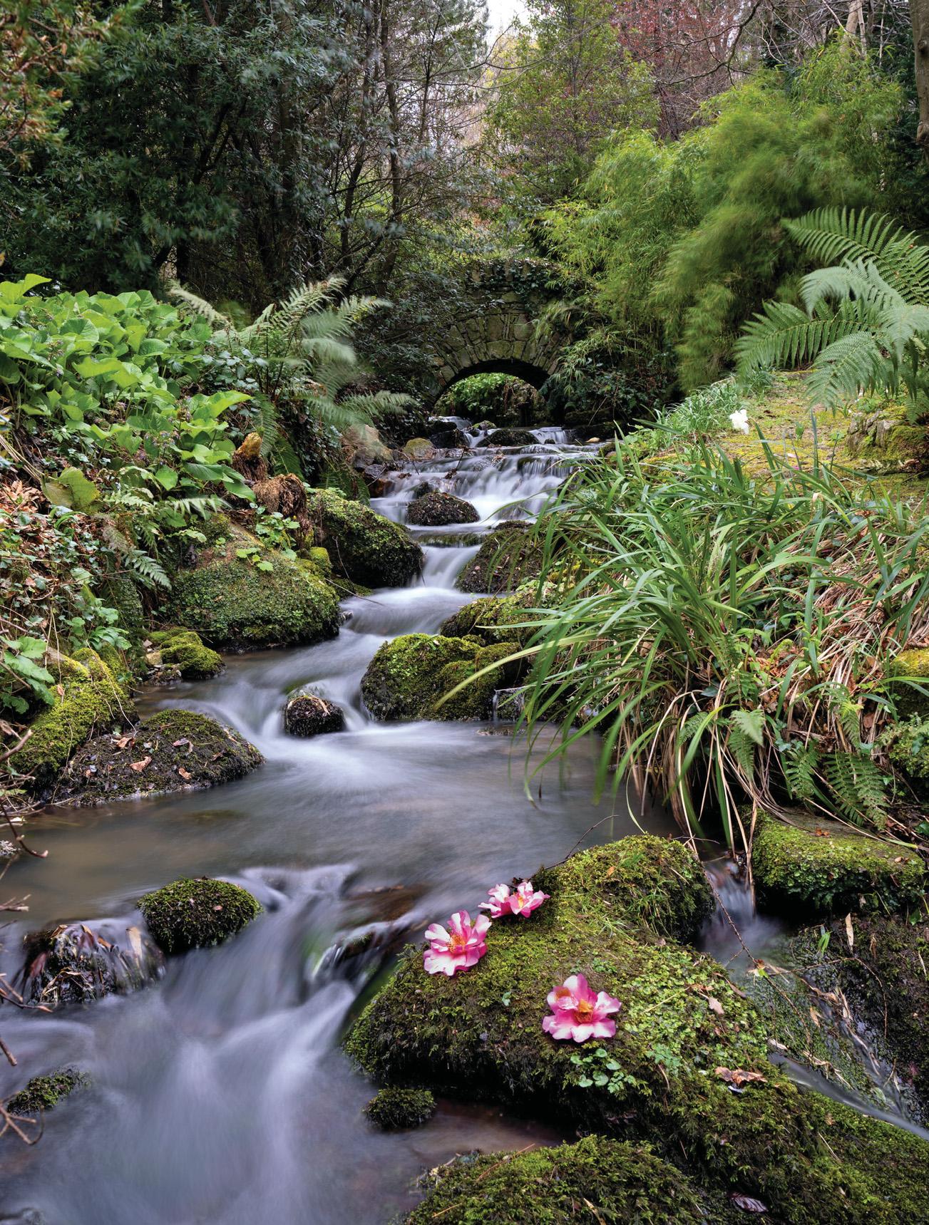 The sweetest thing | Country Life UK - lifestyle - Read this story on ...