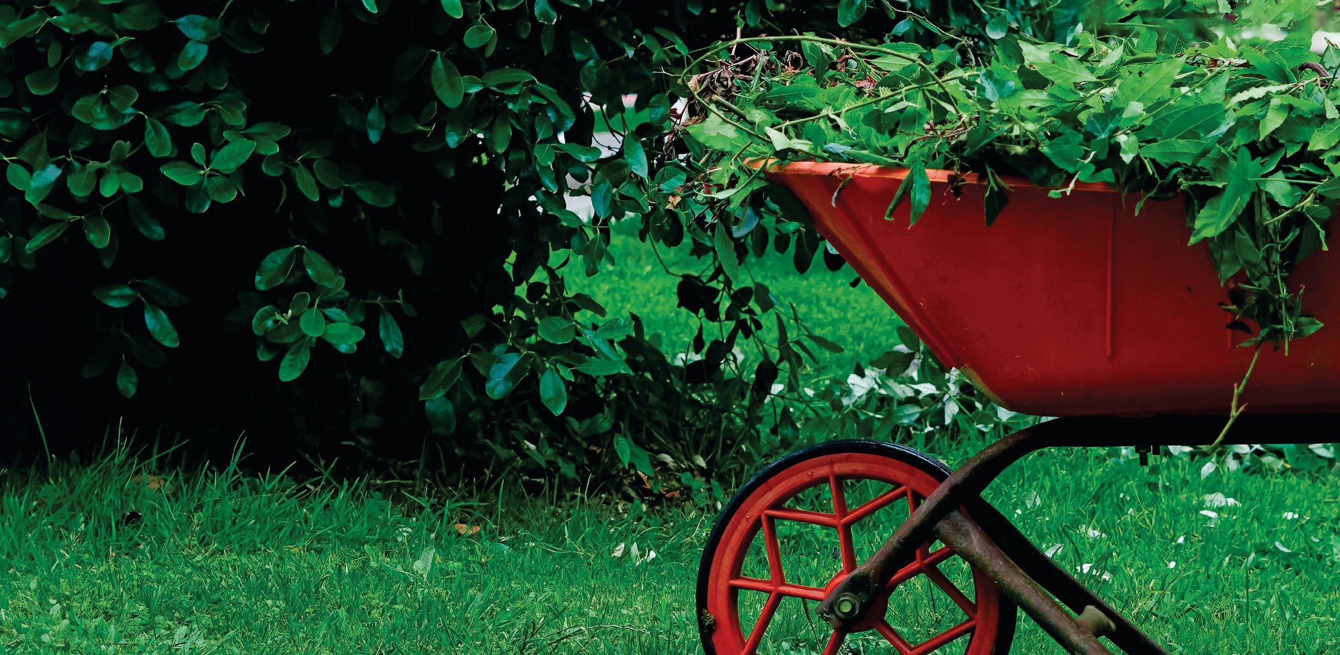 Making mulch of it | Country Life UK - lifestyle - Read this story on ...