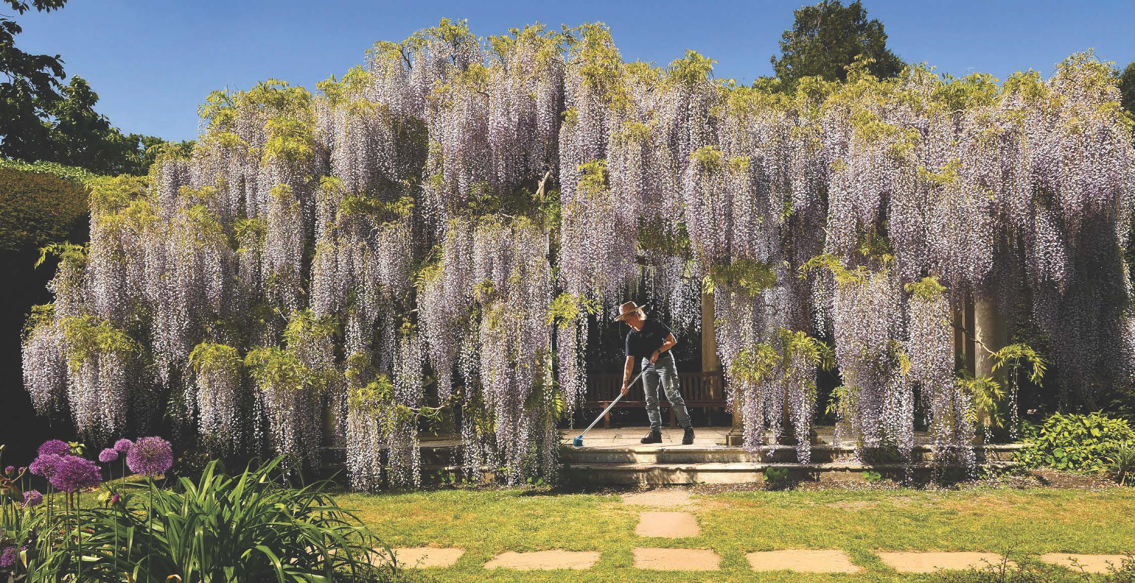 A small victory | Country Life UK - lifestyle - Read this story on ...