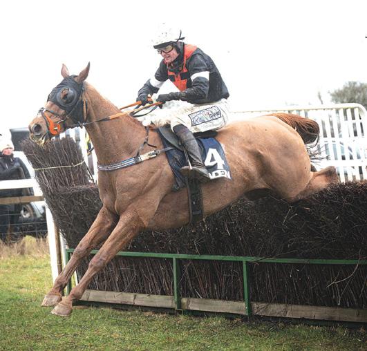 Fred bosses his rivals | Horse & Hound - animals-pets - Read this story ...