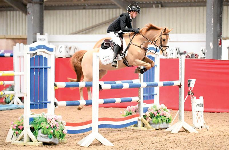 Double the delight | Horse & Hound - animals-pets - Read this story on ...