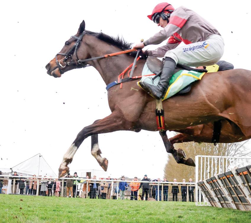 Local hero is all heart | Horse & Hound - Animals Pets - Read this ...