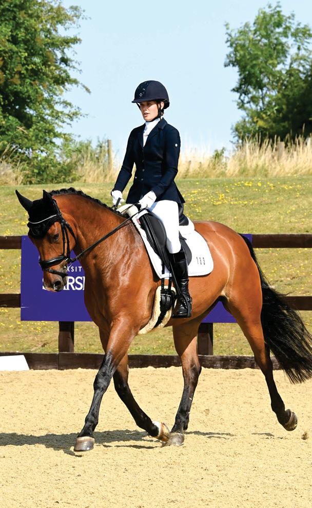 Figaro hits the right notes | Horse & Hound - Animals Pets - Read this ...
