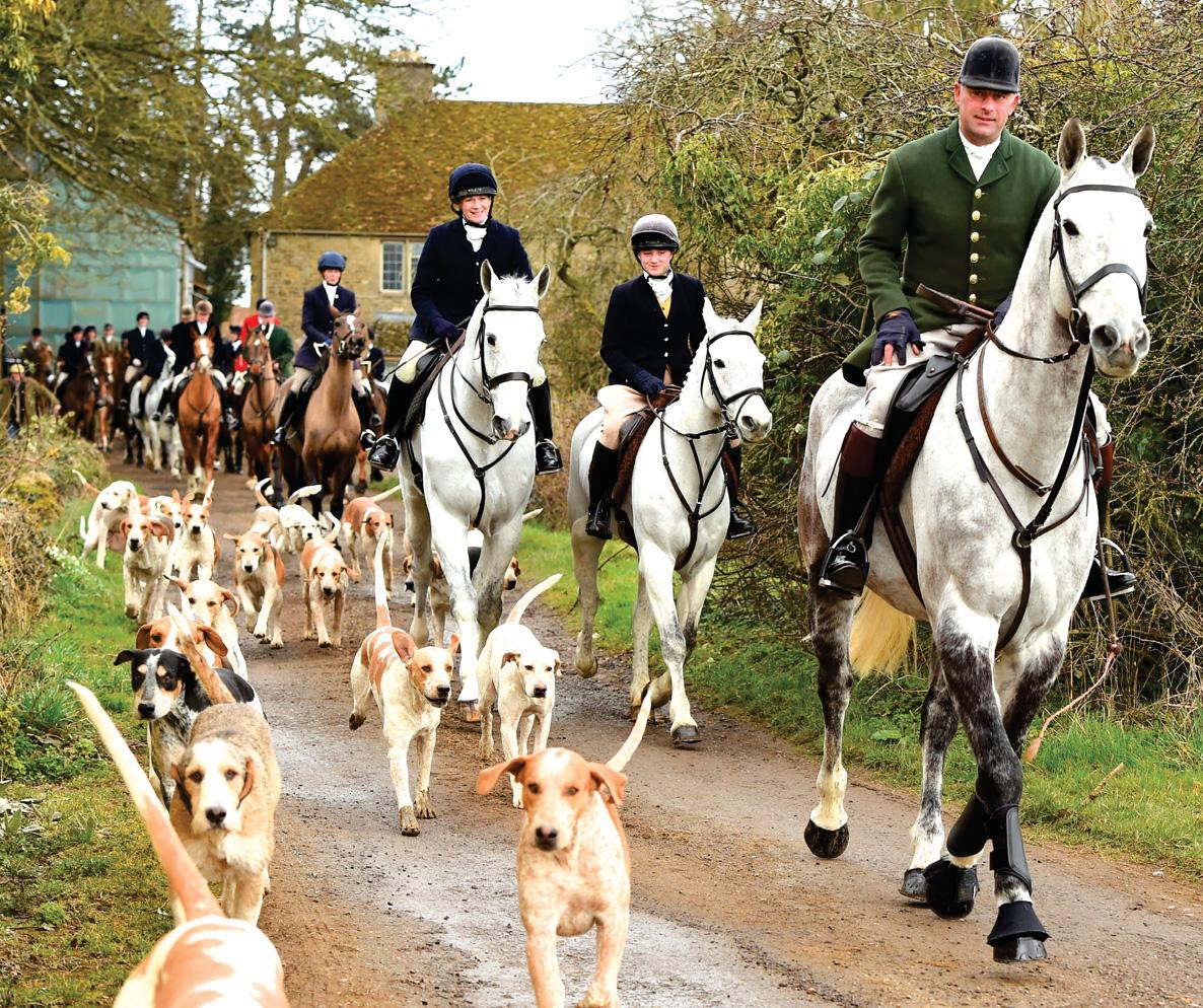 One last hurrah | Horse & Hound - animals-pets - Read this story on ...