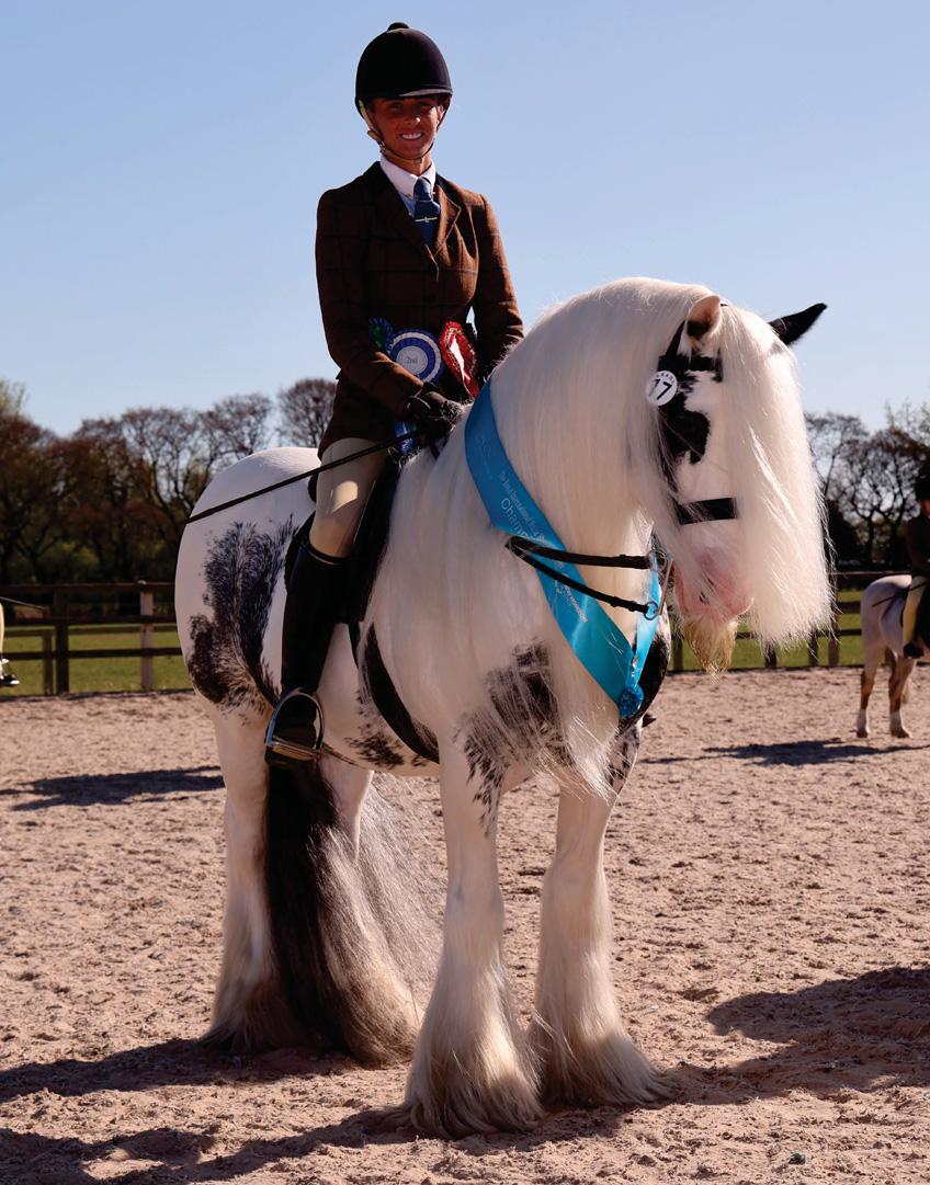 The Boss is back | Horse & Hound - animals-pets - Read this story on ...