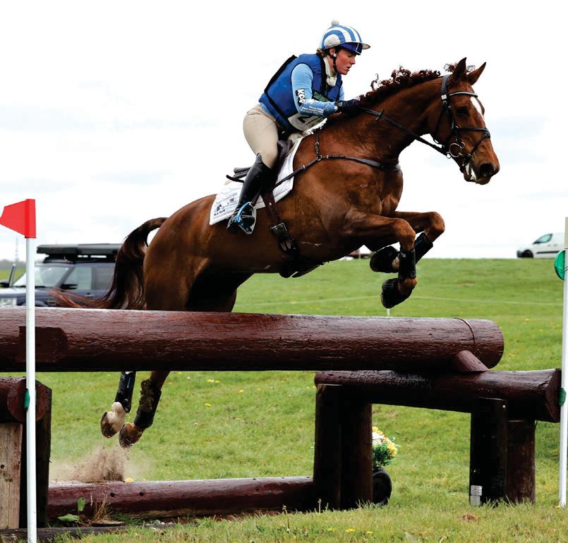 King is the Easter queen | Horse & Hound - animals-pets - Read this ...