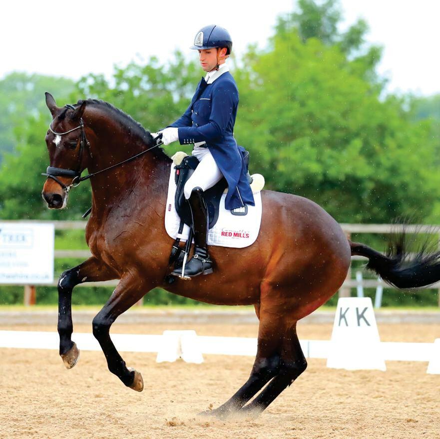 Comeback king returns in style | Horse & Hound - Animals Pets - Read ...