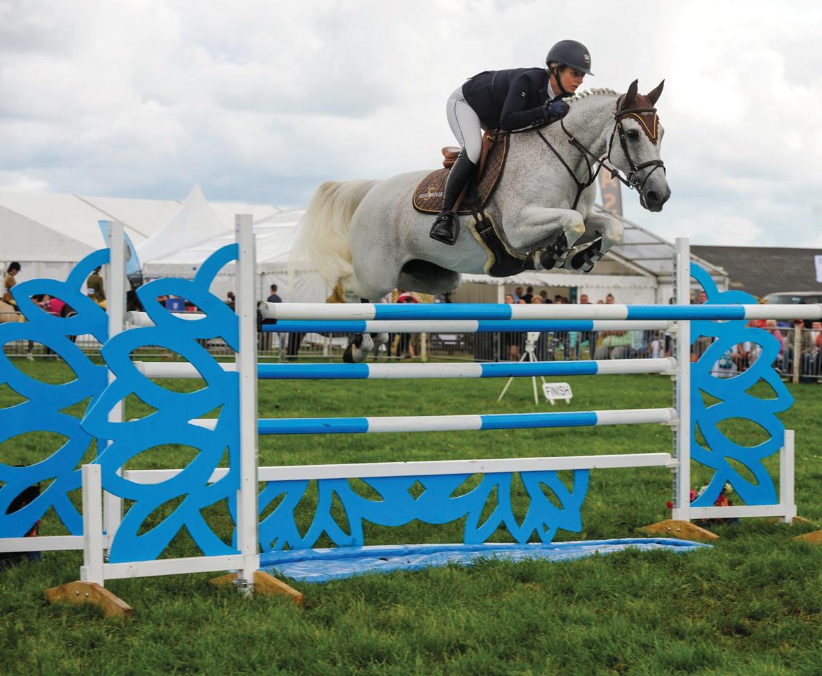 'We're going to lose our shop window' | Horse & Hound - Animals Pets ...