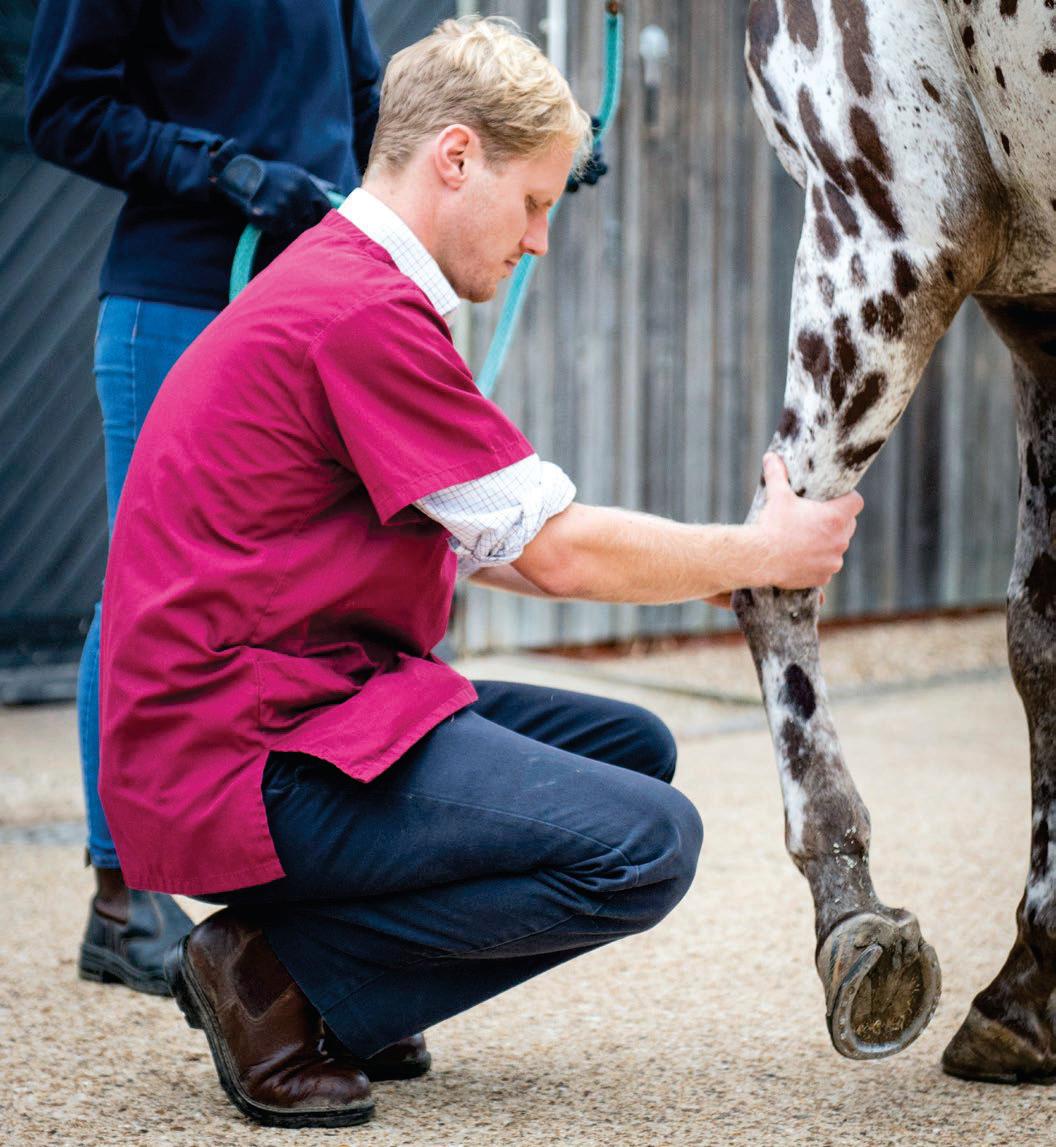 Be prepared | Horse & Hound - animals-pets - Read this story on Magzter.com