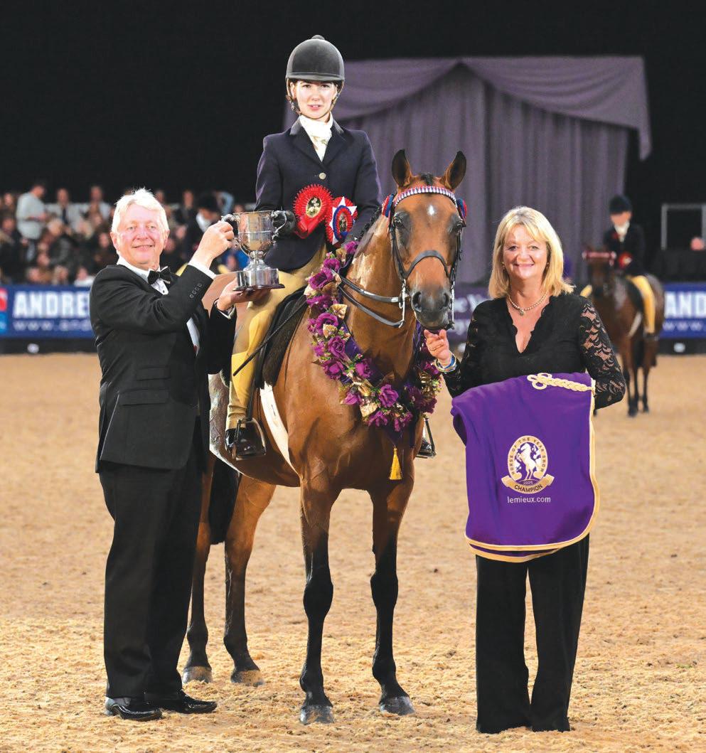 'The most exciting title for some time' | Horse & Hound - animals-pets ...