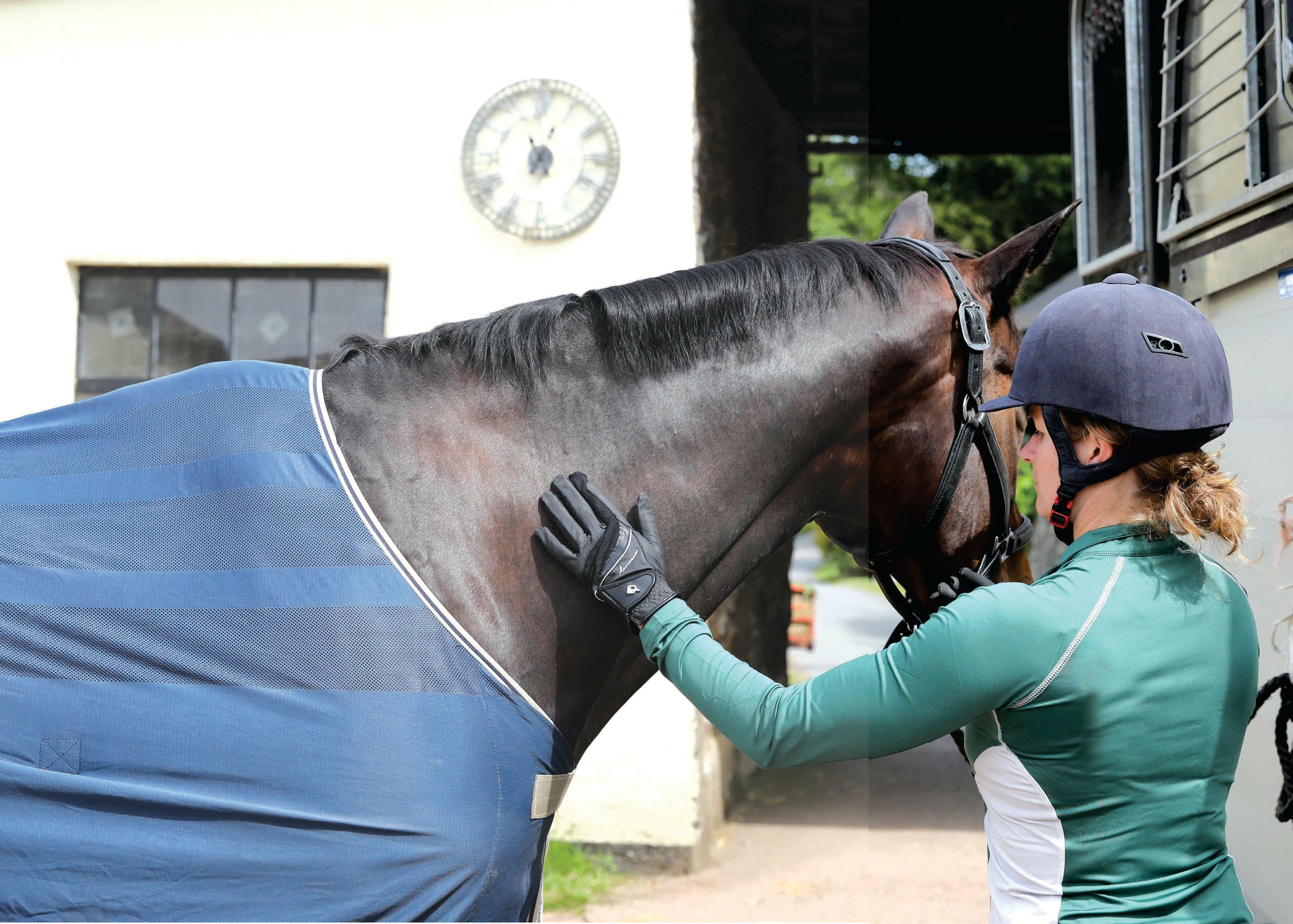 When every second counts | Horse & Hound - animals-pets - Read this story on Magzter.com