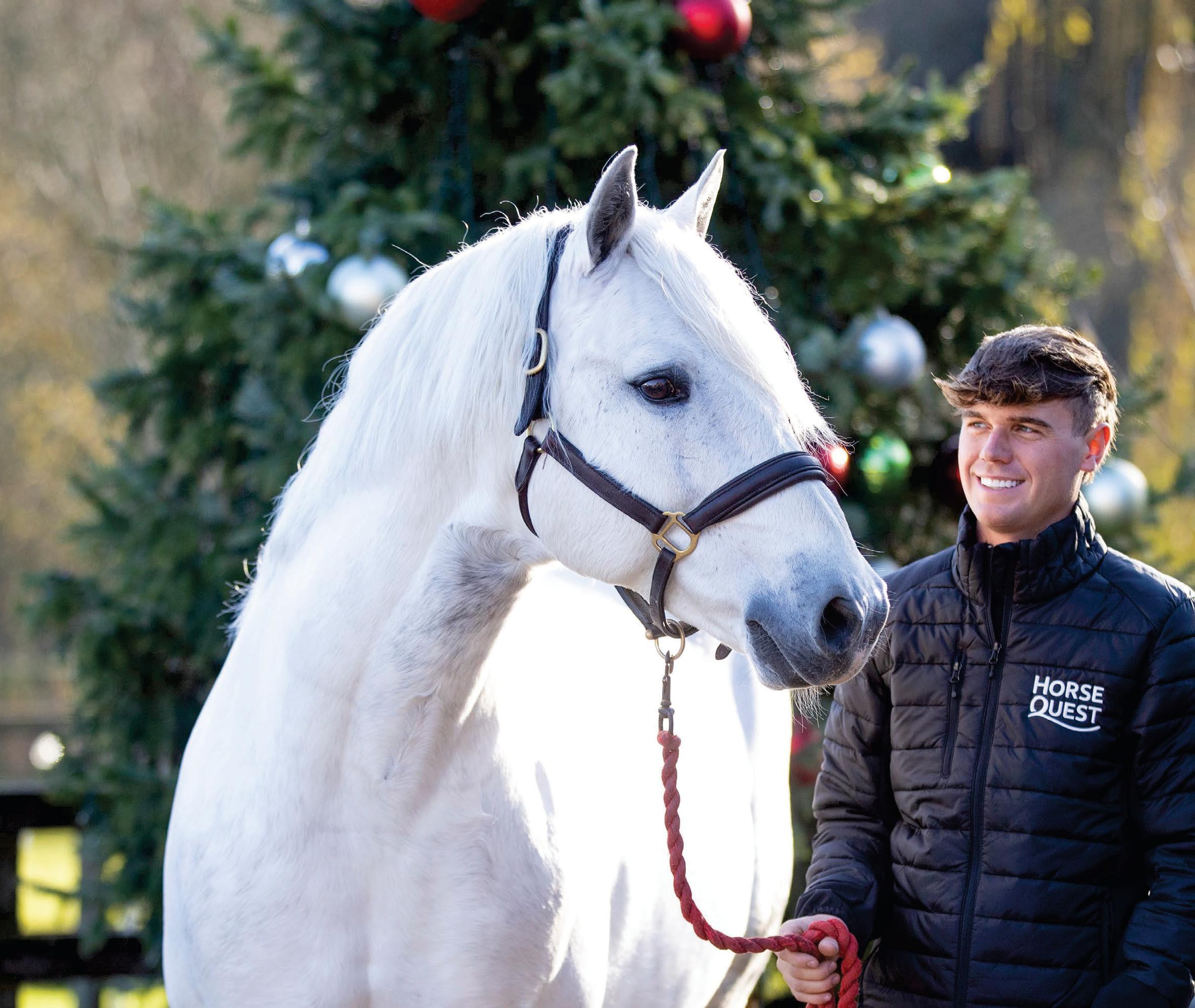 Harrison Taylor | Horse & Hound - animals-pets - Read this story on ...