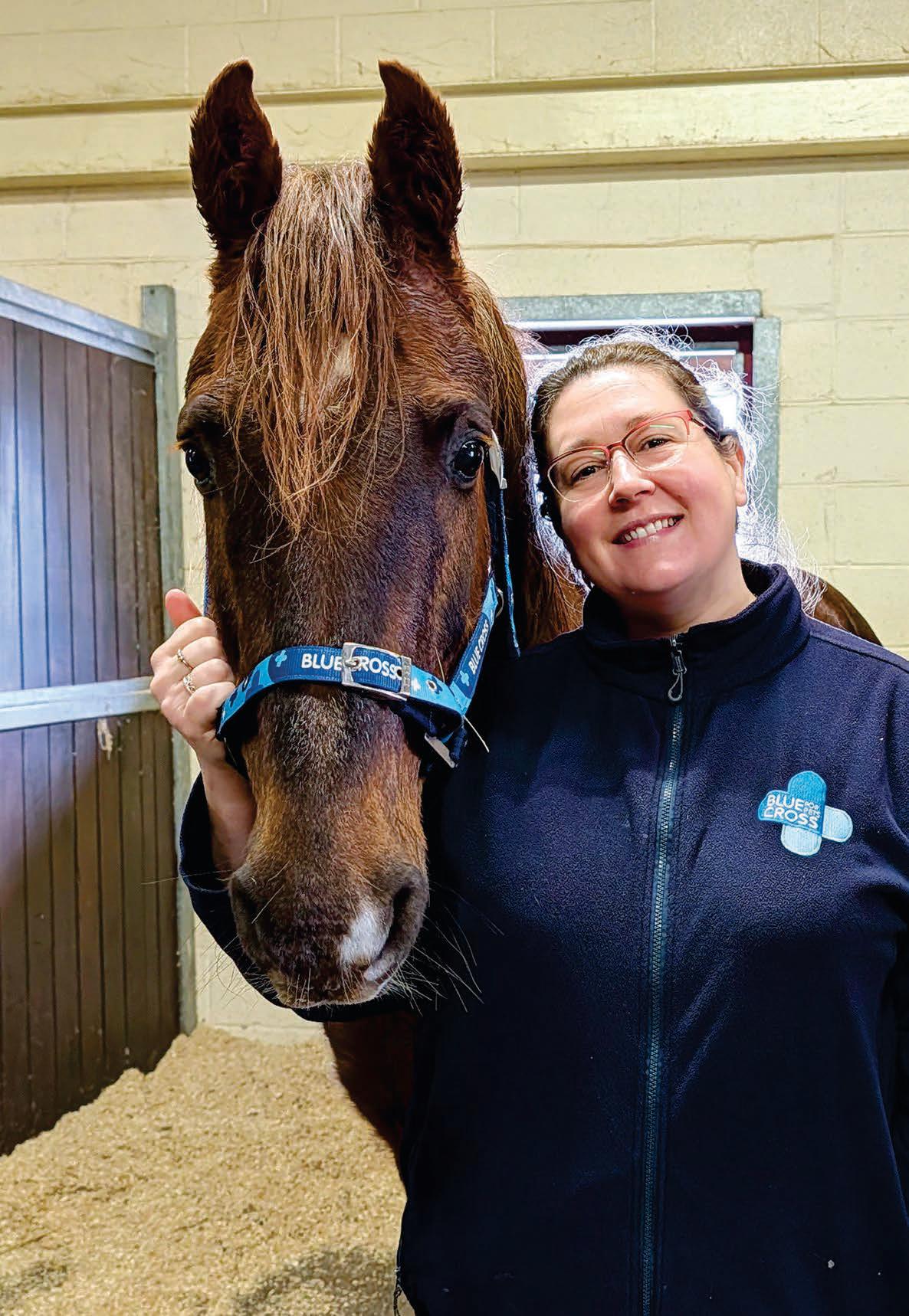 Blue Cross centre manager | Horse & Hound - animals-pets - Read this ...