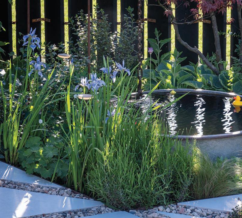 The wonder of WATER | Woman's Weekly - womens-interest - Read this ...