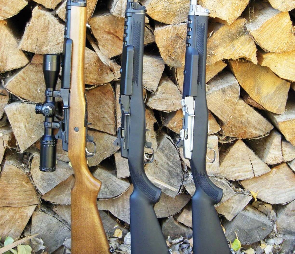 Ruger's Mini-14 And Mini Thirty