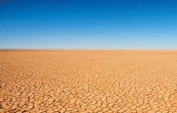 New Research Drought Impacts on Wildlife Can Inform Conservation ...