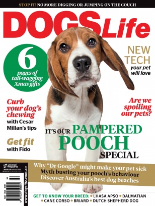 Dogs Life Magazine November - December 2014 issue – Get your digital copy