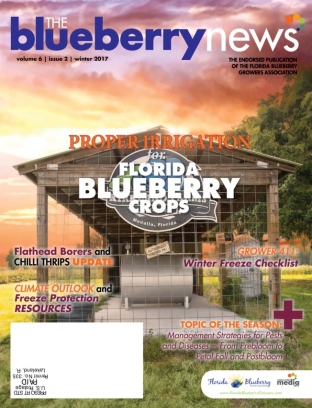 The Blueberry News Magazine - Get your Digital Subscription