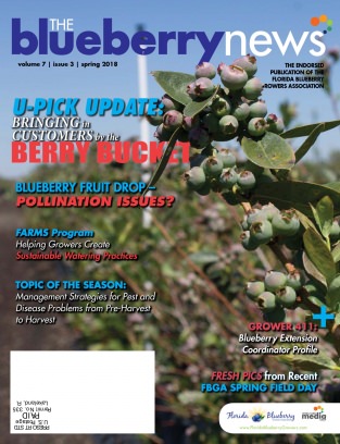 The Blueberry News Magazine - Get your Digital Subscription