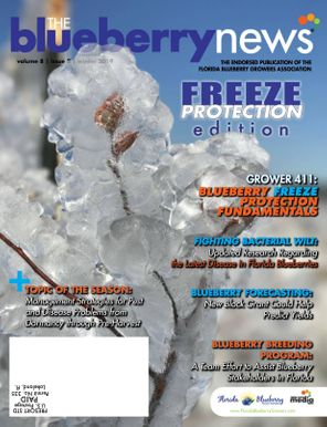 The Blueberry News Magazine - Get your Digital Subscription