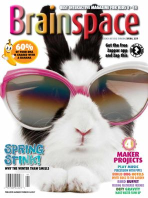 Brainspace Magazine - Get your Digital Subscription