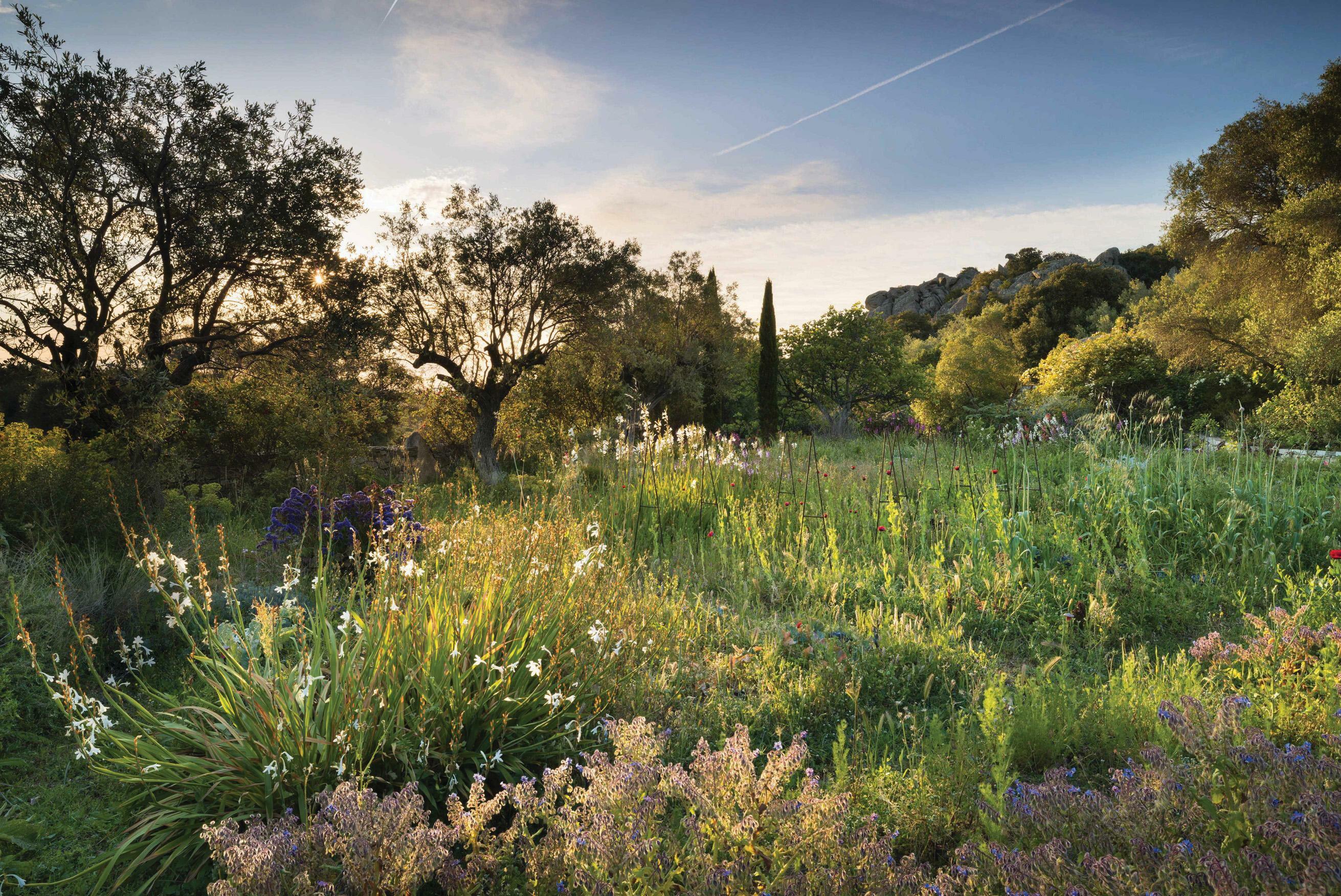 VERDANT VALLEY - Read this story on Magzter.com