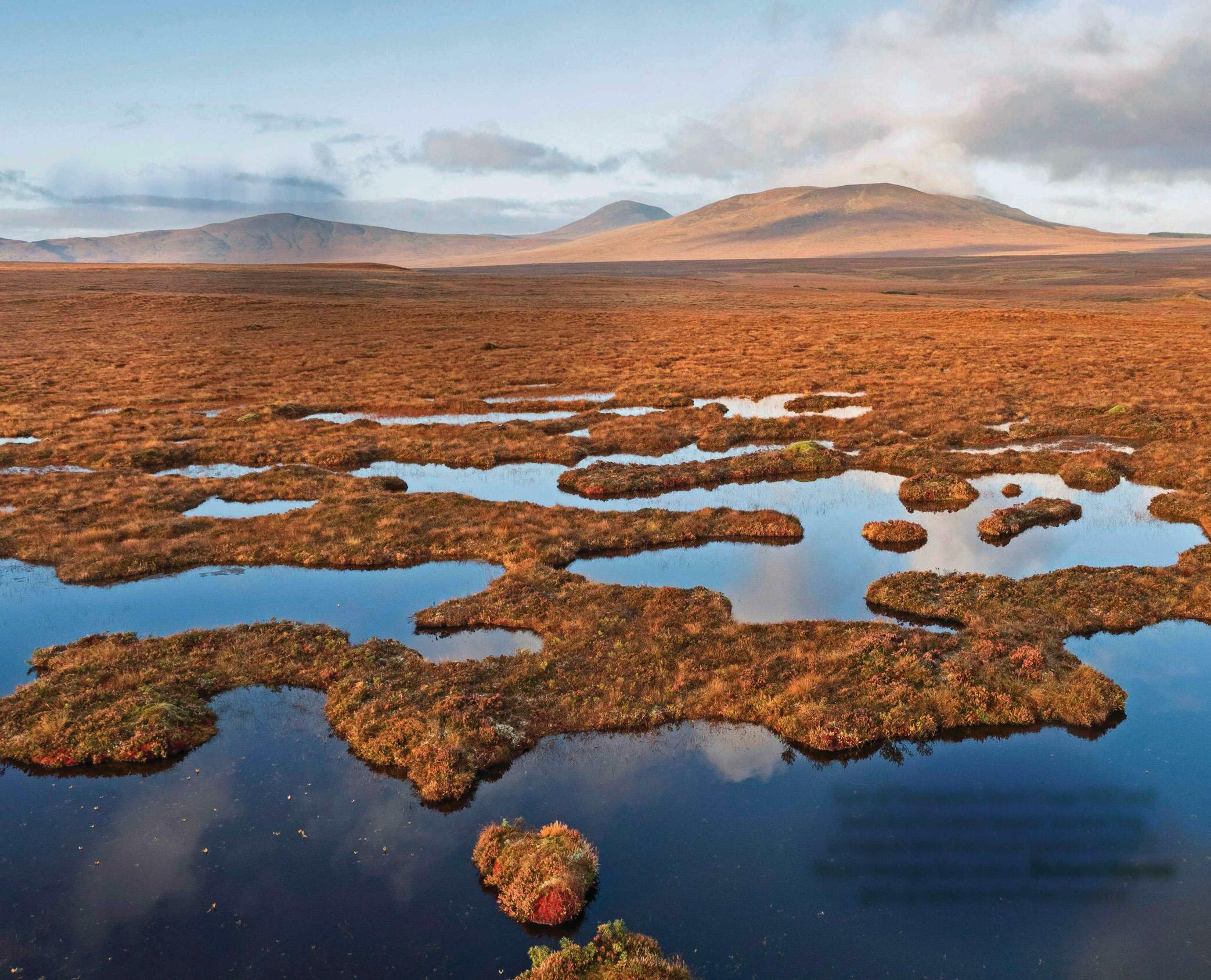 Go with the flow | BBC Countryfile Magazine - lifestyle - Read this ...