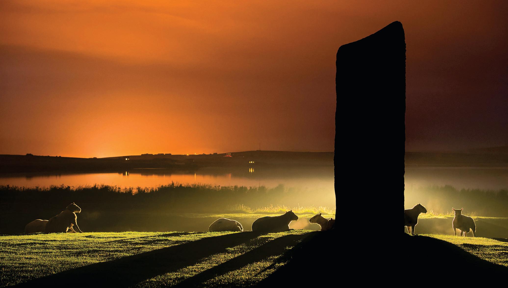 WRITTEN IN STONE | The New Yorker - culture - Read this story on ...