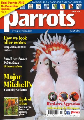 Parrots magazine Magazine - Get your Digital Subscription