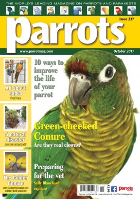 Parrots magazine Magazine - Get your Digital Subscription