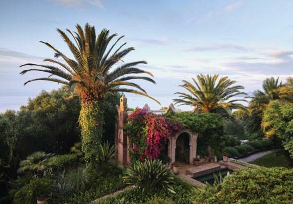 Tangier Dreams | Liam Hess - DiscountMags.com