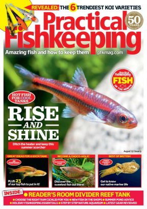 Practical Fishkeeping Magazine - Get your Digital Subscription