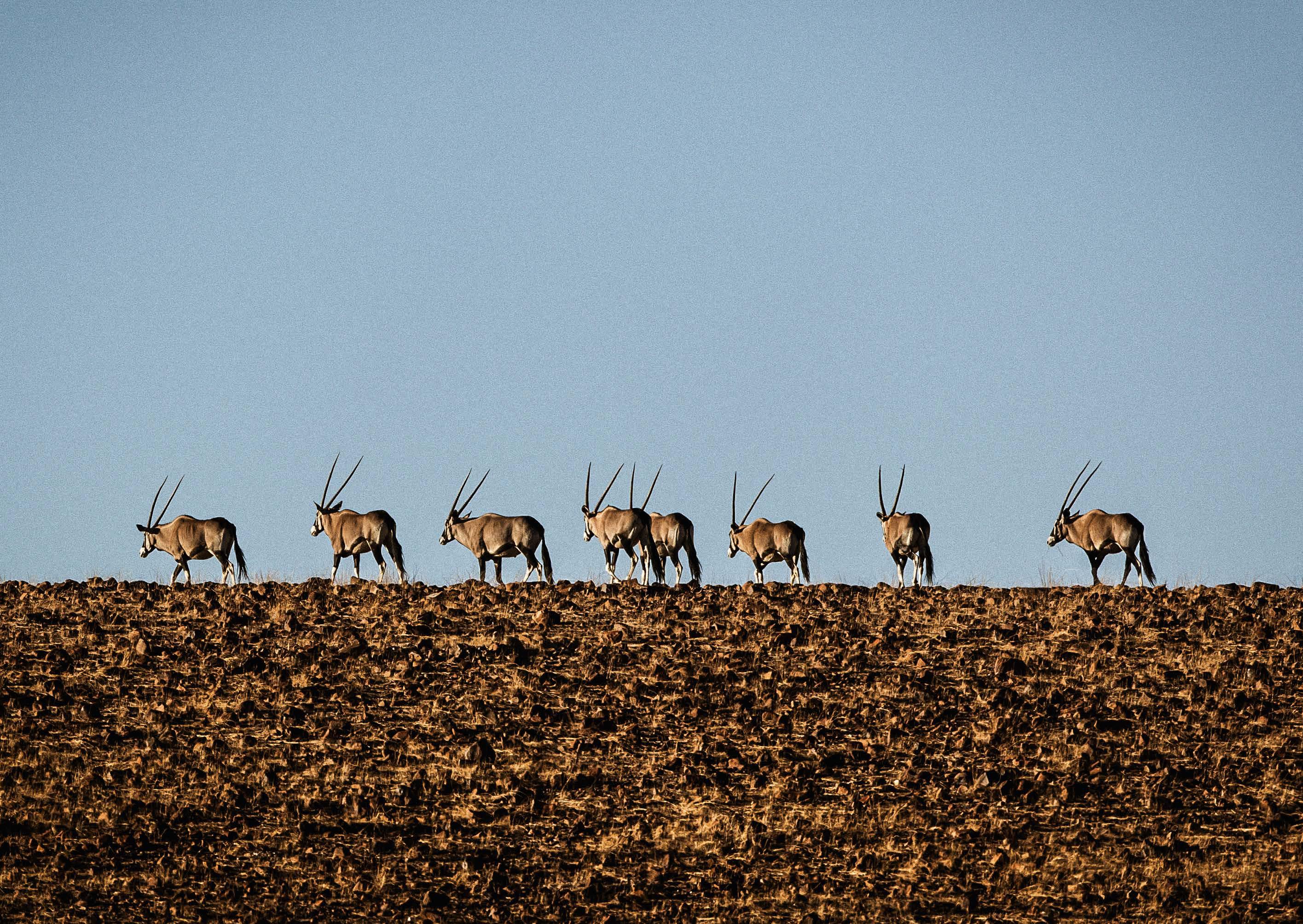Namibia | National Geographic Traveller (UK) - travel - Read this story ...