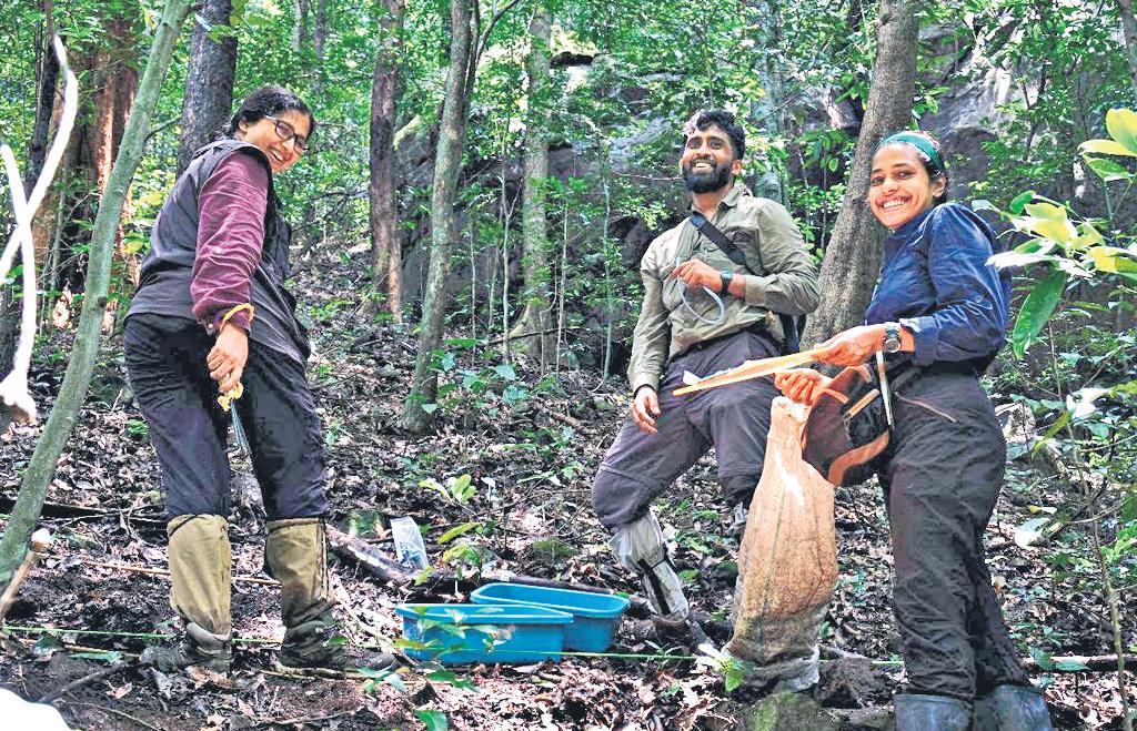Western Ghats rich in flora, fauna | Telangana Today - Hyderabad - newspaper - Read this story ...
